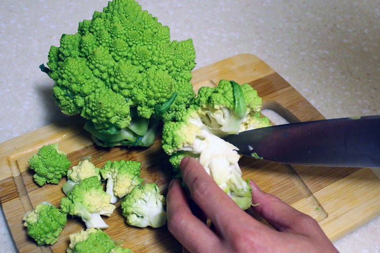 CSA Highlight: Romanesco | Kathy May & Silas